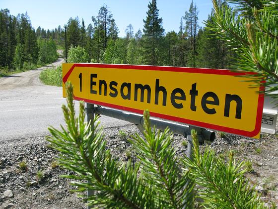 Die Bäume aus Heidis Kindheit leben als Fußboden weiter | Aspen